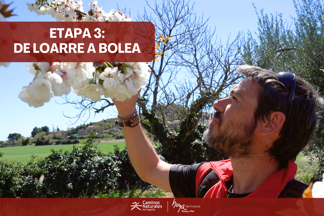 Camino Natural Etapa 3: de Loarre a Bolea